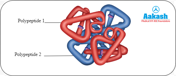 Protein: Structure, Types, Denaturation & Function | AESL